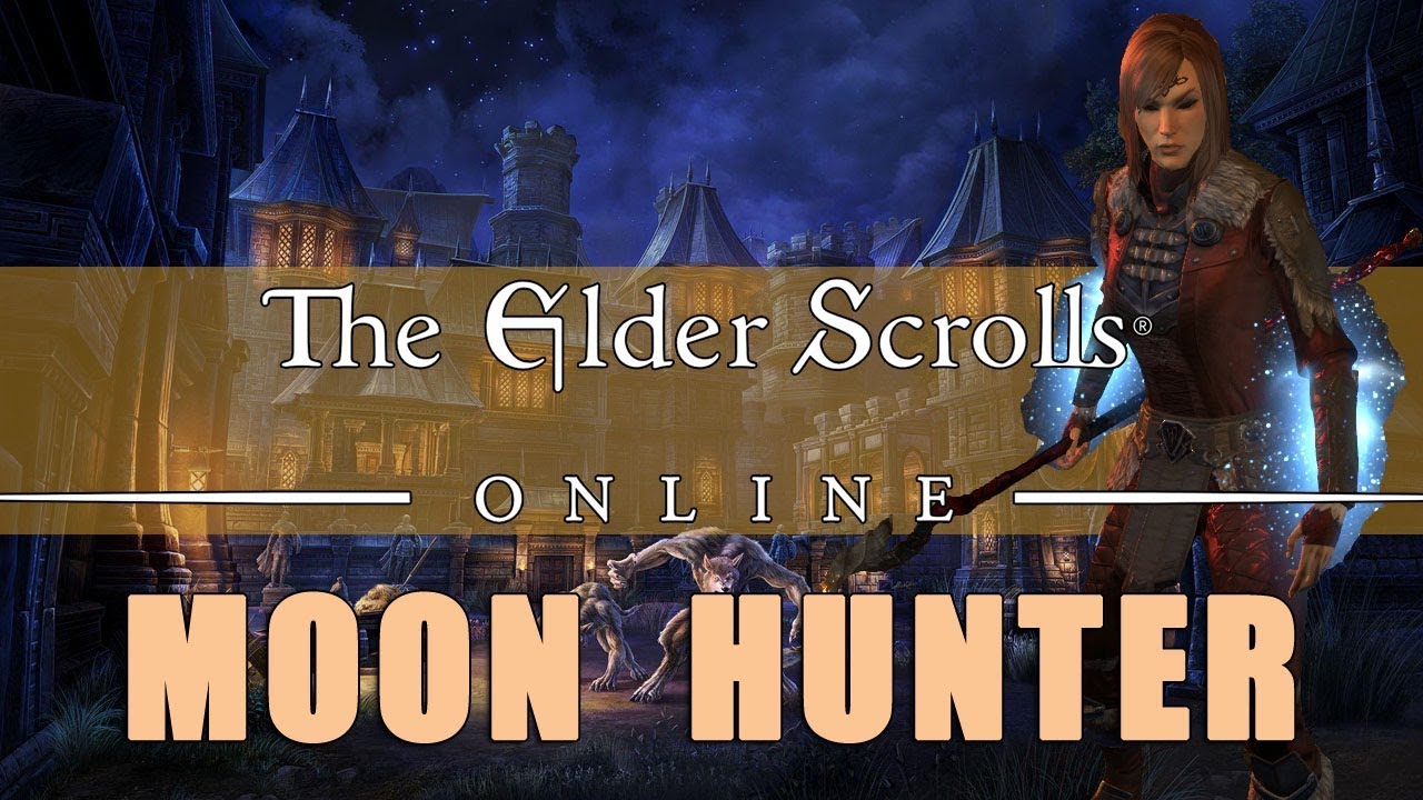Elder Scrolls Online: Moon Hunter Set Build Guide - YouTube