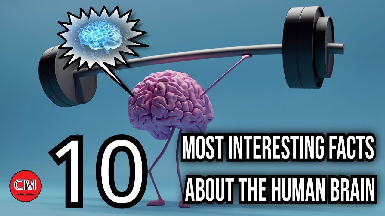10 interesting facts about the human brain - YouTube