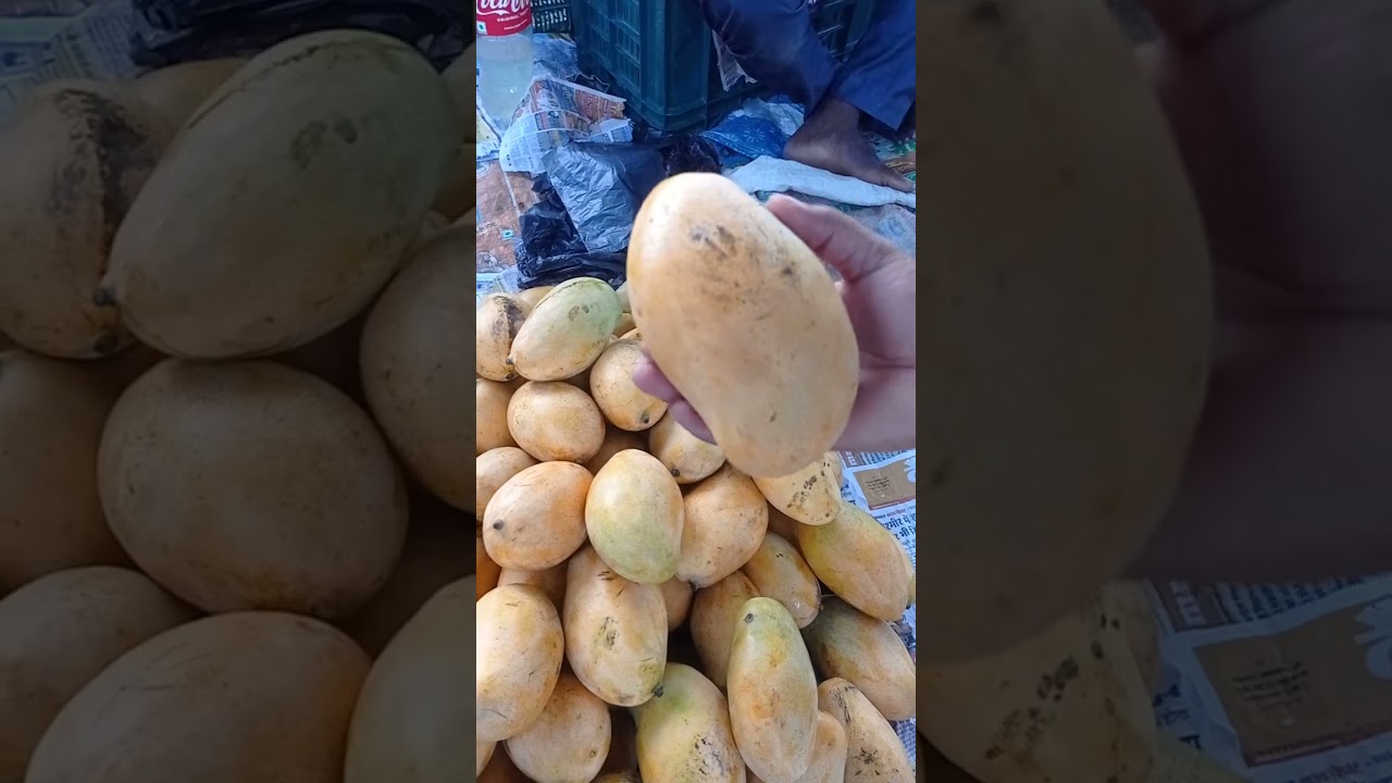 Best mango in Bihar | Indian Street Food #shorts - YouTube