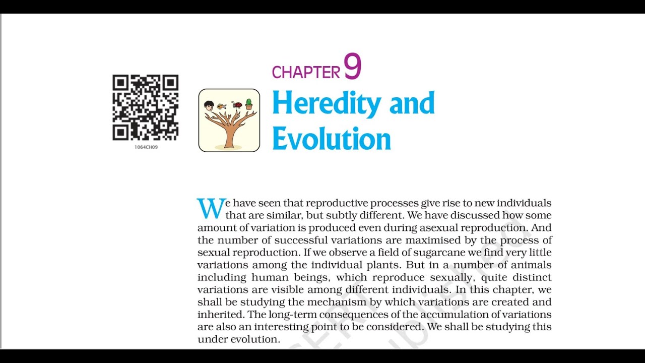 5_How Do Traits Get Expressed_1 - YouTube