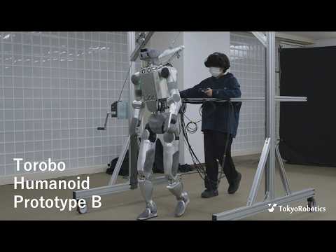 Human-Like Walking and Whole-Body Control of Torobo Humanoid