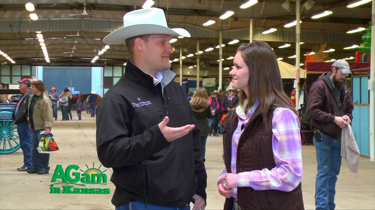 Dr. Chris Blevins and Tasha Dove - KSU Horse Judging Coach - YouTube