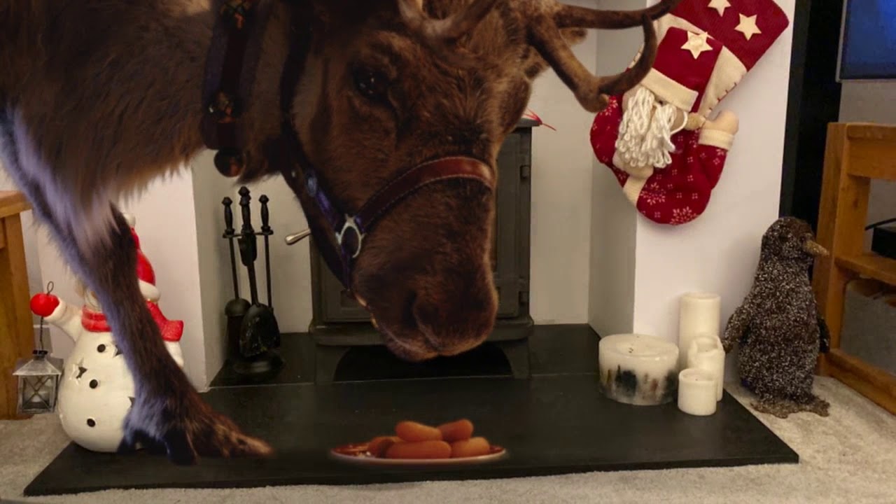 Max's reindeer - YouTube