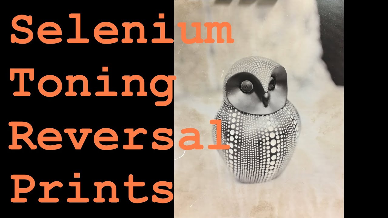 Selenium Toning Reversal Prints - YouTube