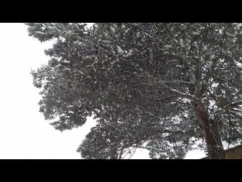 Fatehin qar sevinci.🌨️🌨️