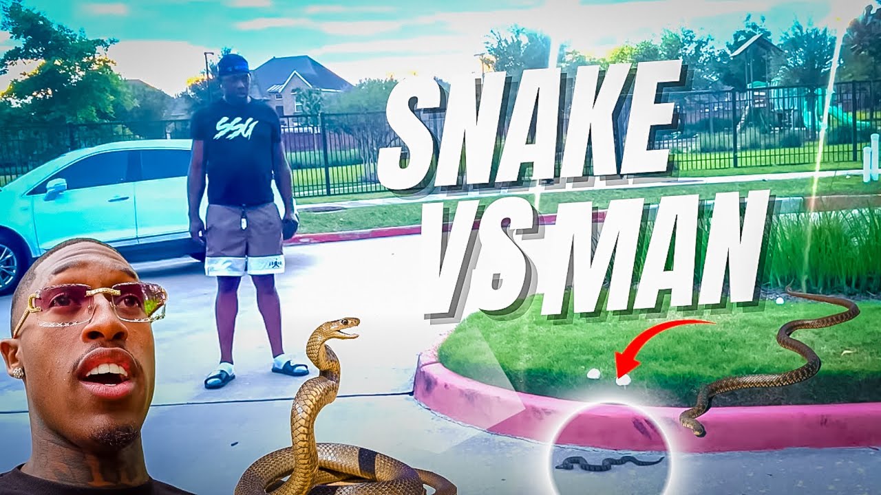 Man vs Wild: Can He Survive a Snake Attack? - YouTube