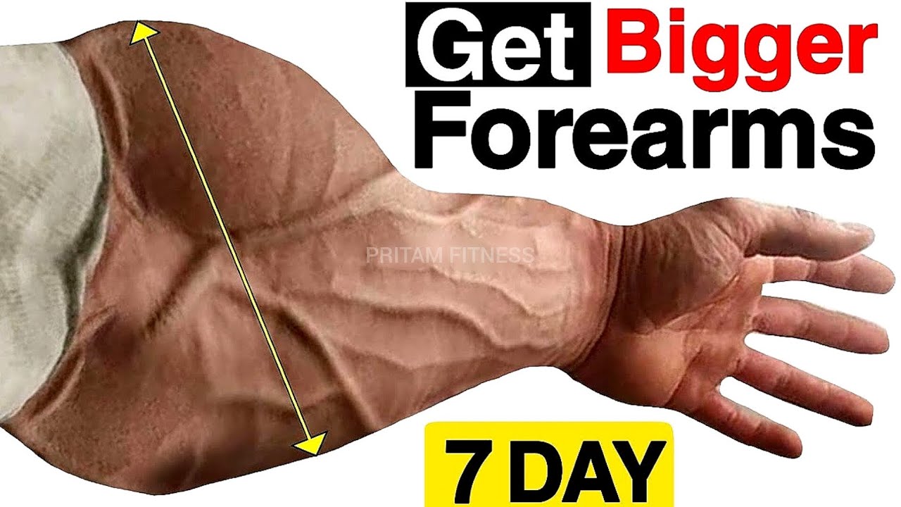 Best 5 PERFECT Forearm Workout Forearms Exercises - YouTube