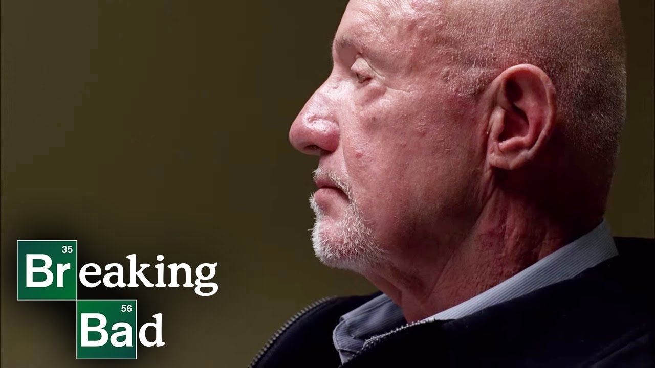 Walter White Offers Mike Ehrmantraut a Business Opportunity (Recap ...