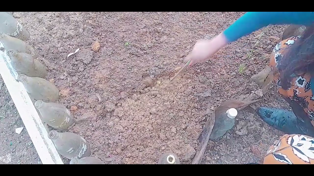 Palambutin Ang Lupa, Soften The Soil, #HappyCoupTube - YouTube
