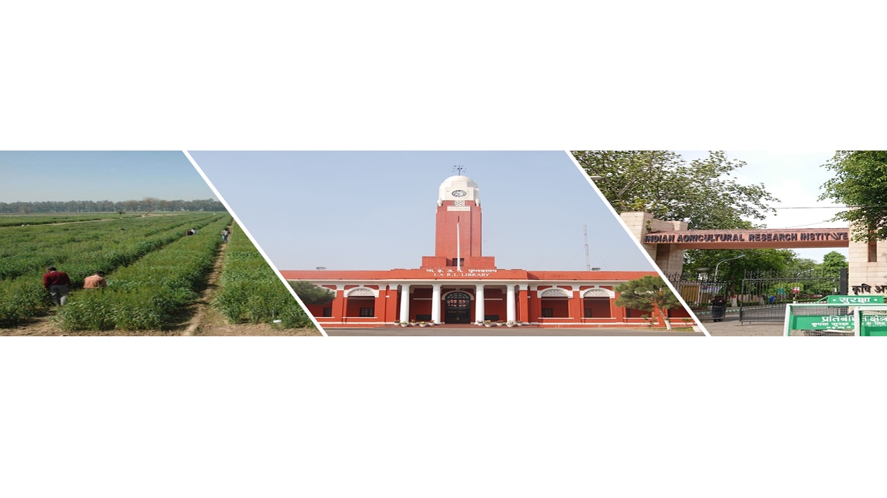 IARI convocation 2018 Live Stream - Session II – Crop Protection - YouTube