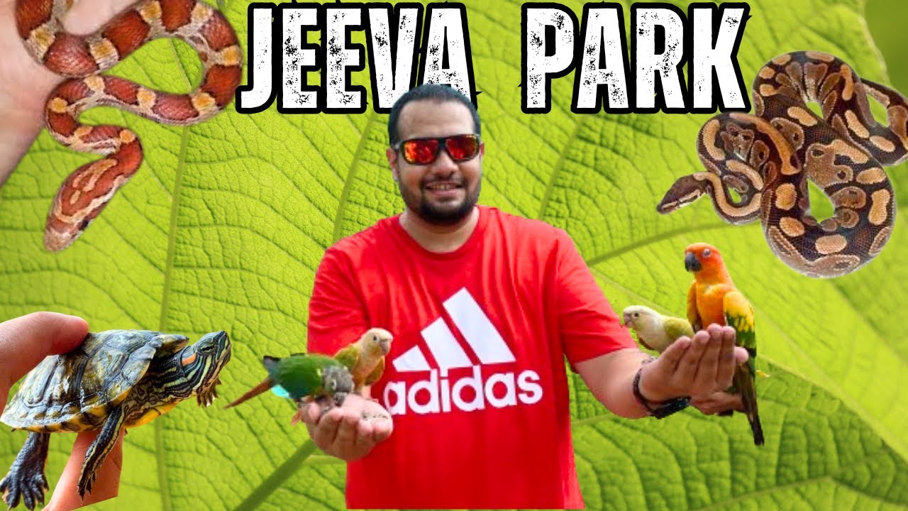 Jeeva Park near Nandi Hills | Pet Farm for kids - YouTube