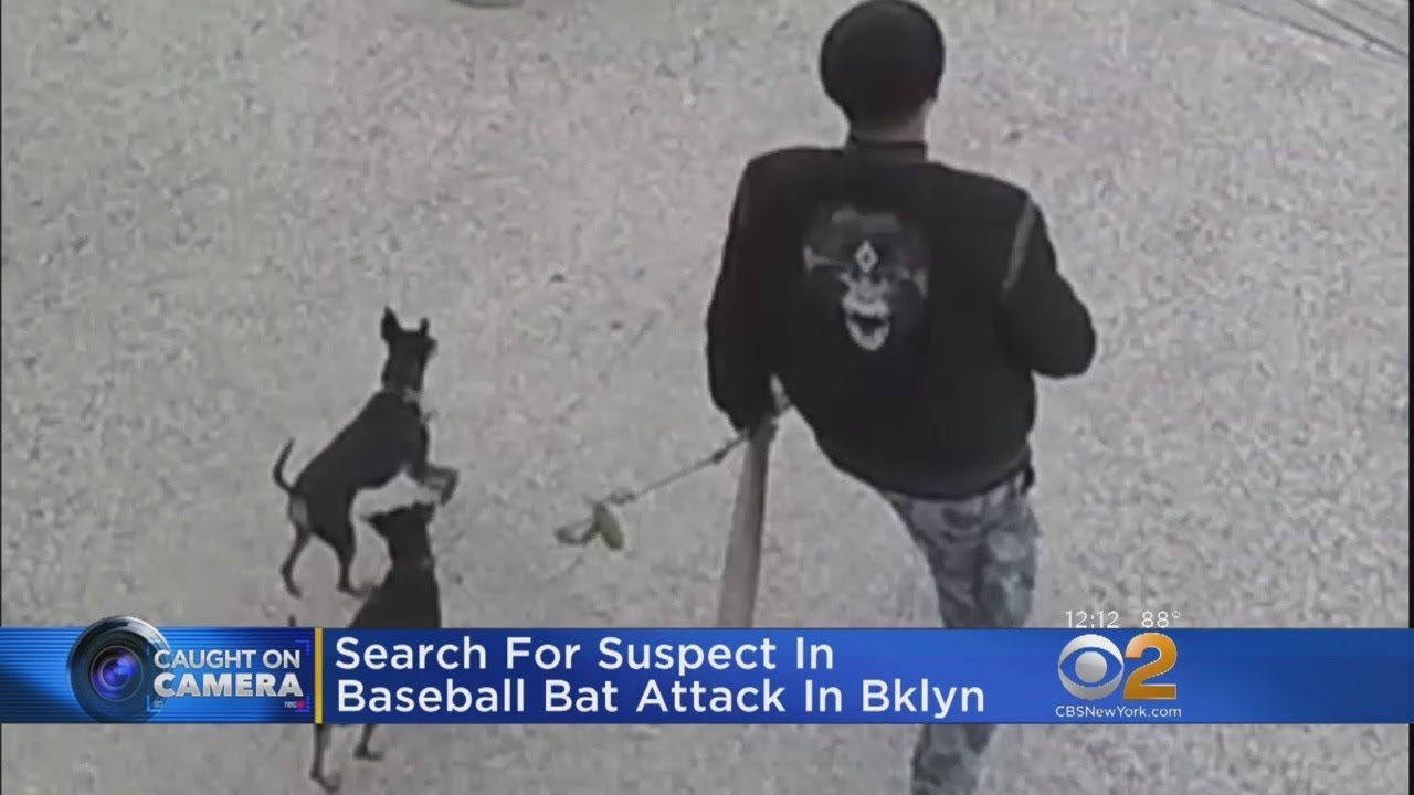 Search On For Suspect In Brooklyn Baseball Bat Attack - YouTube