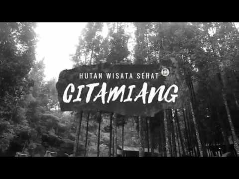 WISATA HERBA CITAMIANG PUNCAK BOGOR - YouTube