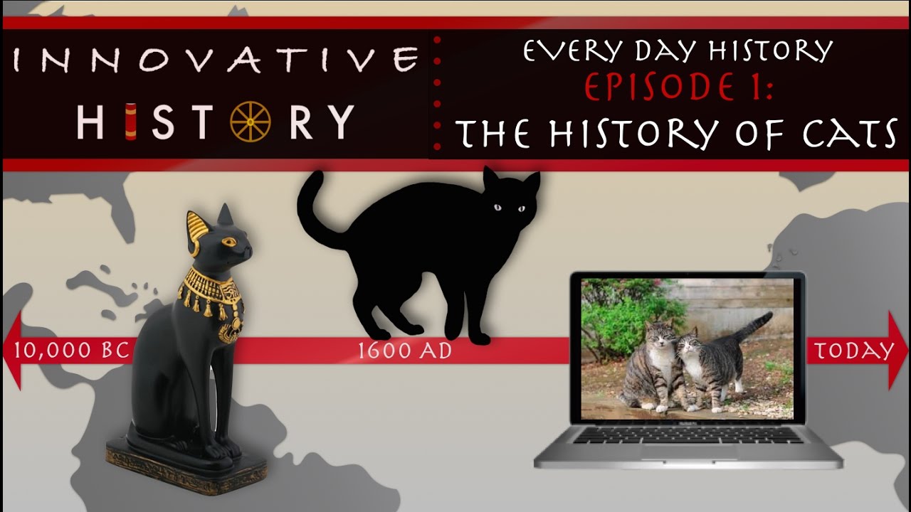 The History Of Cats Innovative History YouTube the-history-of-cats-innovative-history-youtube