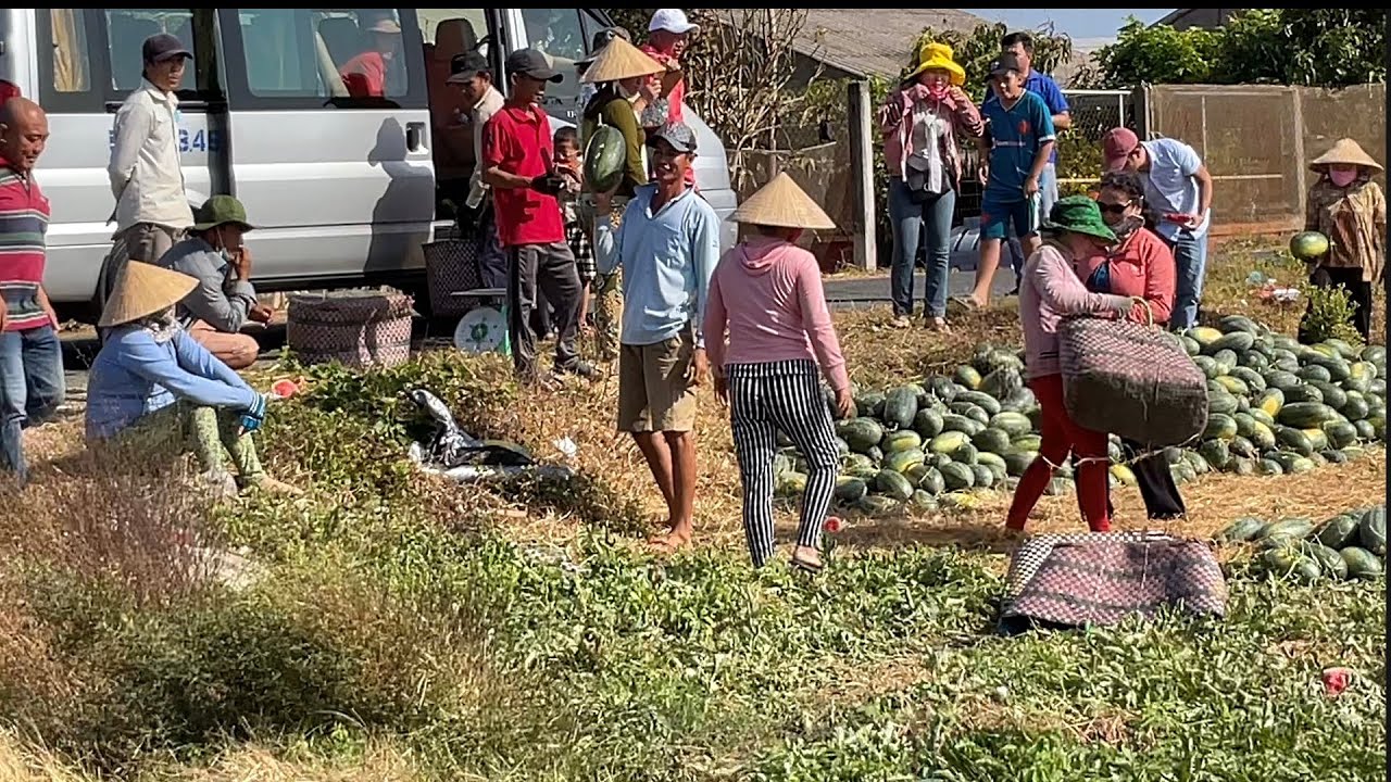 Đi BIỂN MUA DUA HẤU #BIEN#THANHPHU#xuan2024 - YouTube