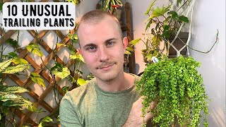 10 Unusual Trailing Houseplants