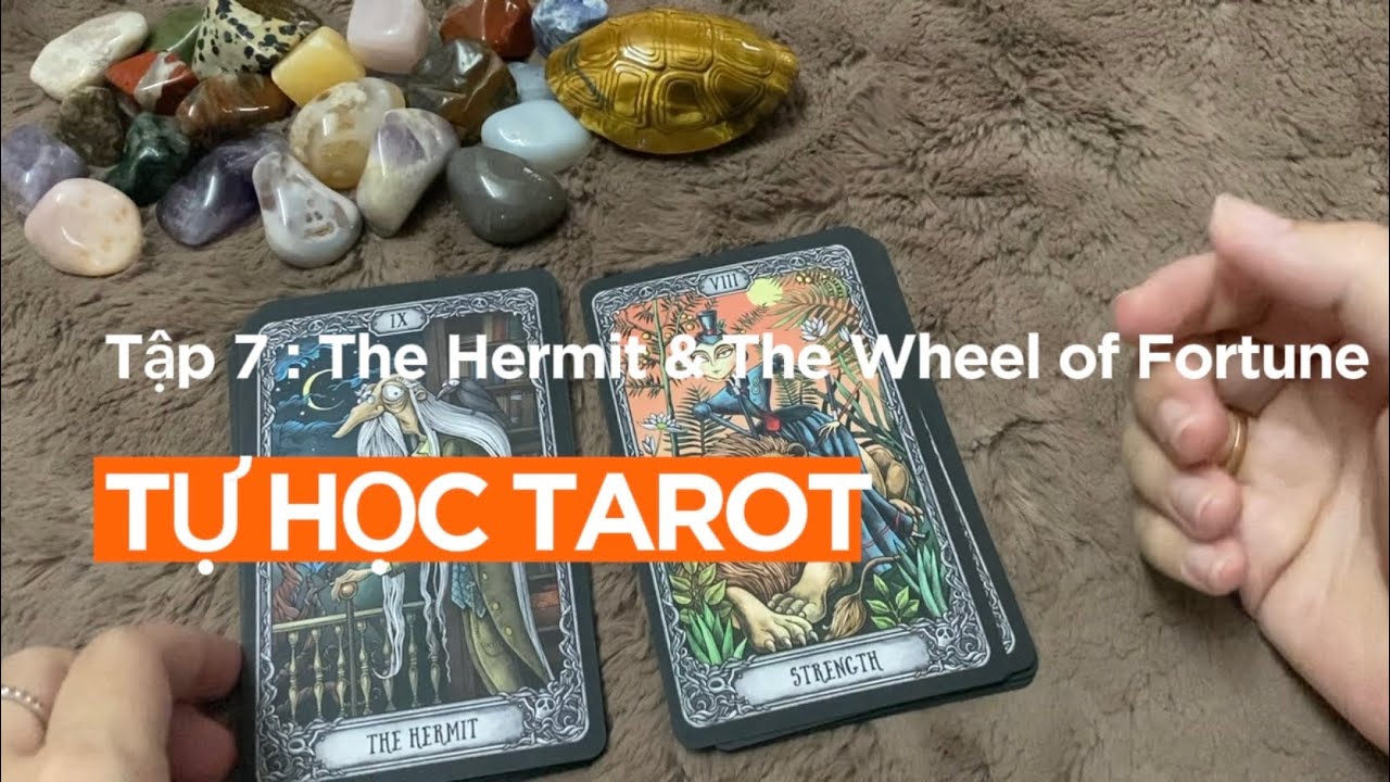 Tập 7 : The Hermit & The Wheel of Fortune - Ý nghĩa lá bài Tarot | TỰ ...
