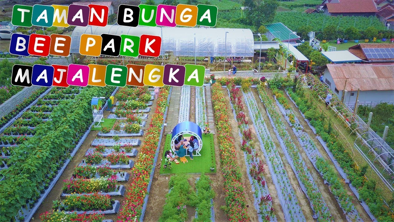 Taman Bunga Bee Park Majalengka - YouTube