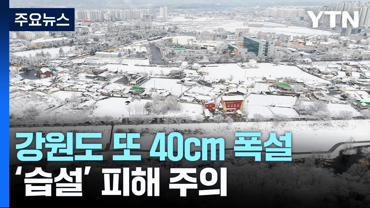 40cm 눈 내린 강원도 또 폭설...산불 걱정 '뚝' / YTN - YouTube