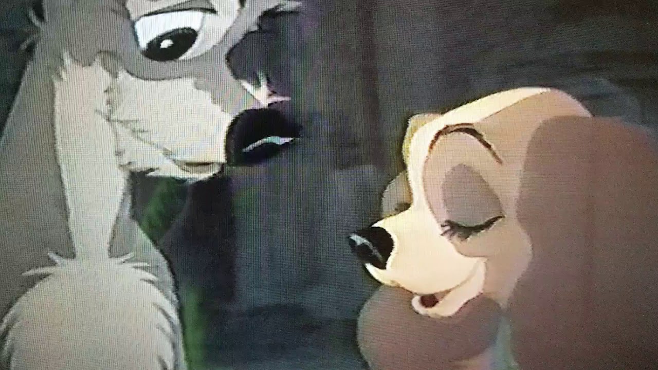 Bella notte lady and the tramp 1955 - YouTube