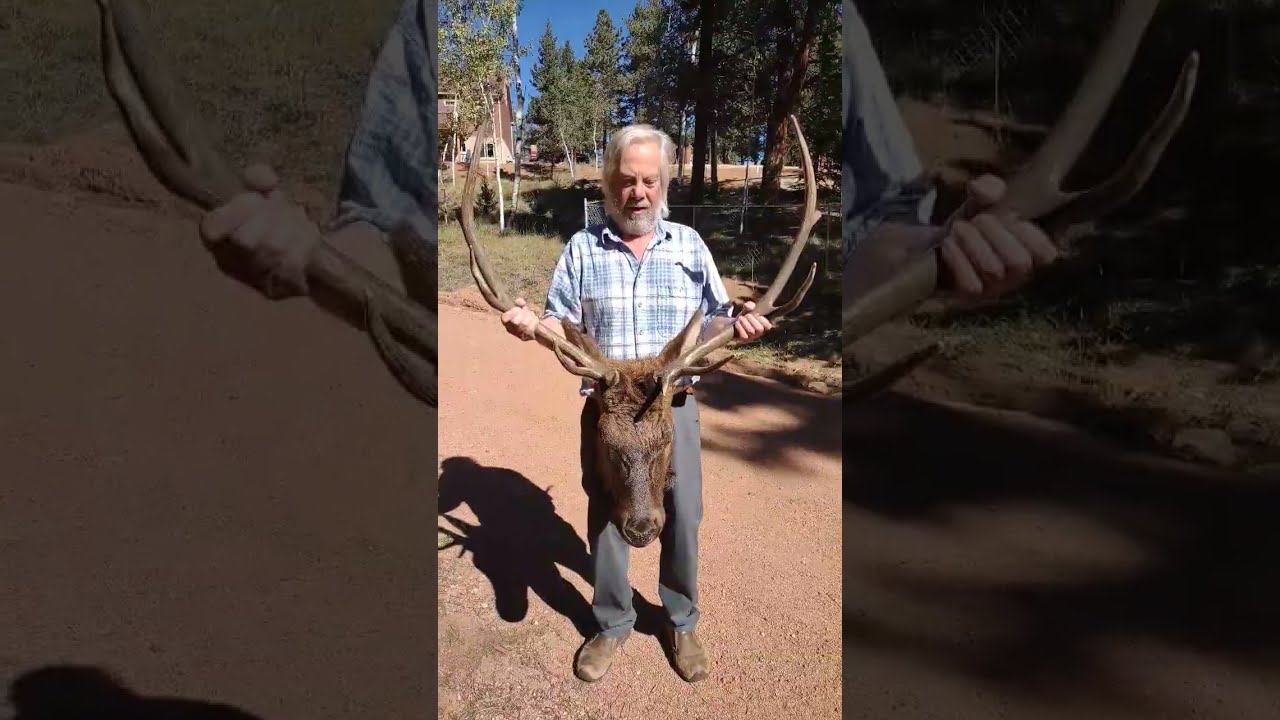 Ron gets an elk at Buffalo Peaks Colorado Sept. 29th 2022 (Elk Hunting ...