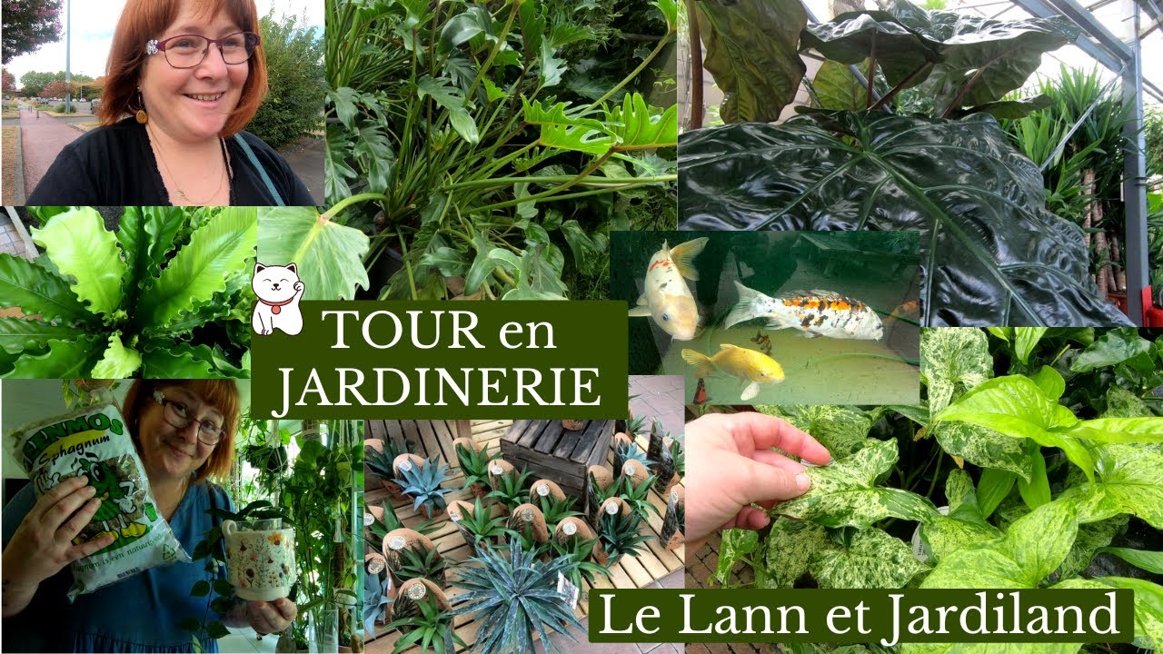 TOUR en JARDINERIES🌿 Jardinerie Le Lann et Jardiland | Deux ambiances ...