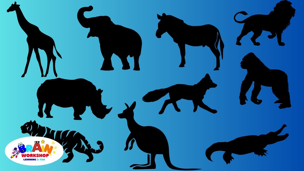 Wild Animal Puzzle Game|Learn Wild animal's name with Puzzel ...