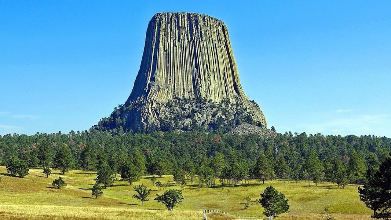 15 GIGANTIC Trees and Plants - YouTube