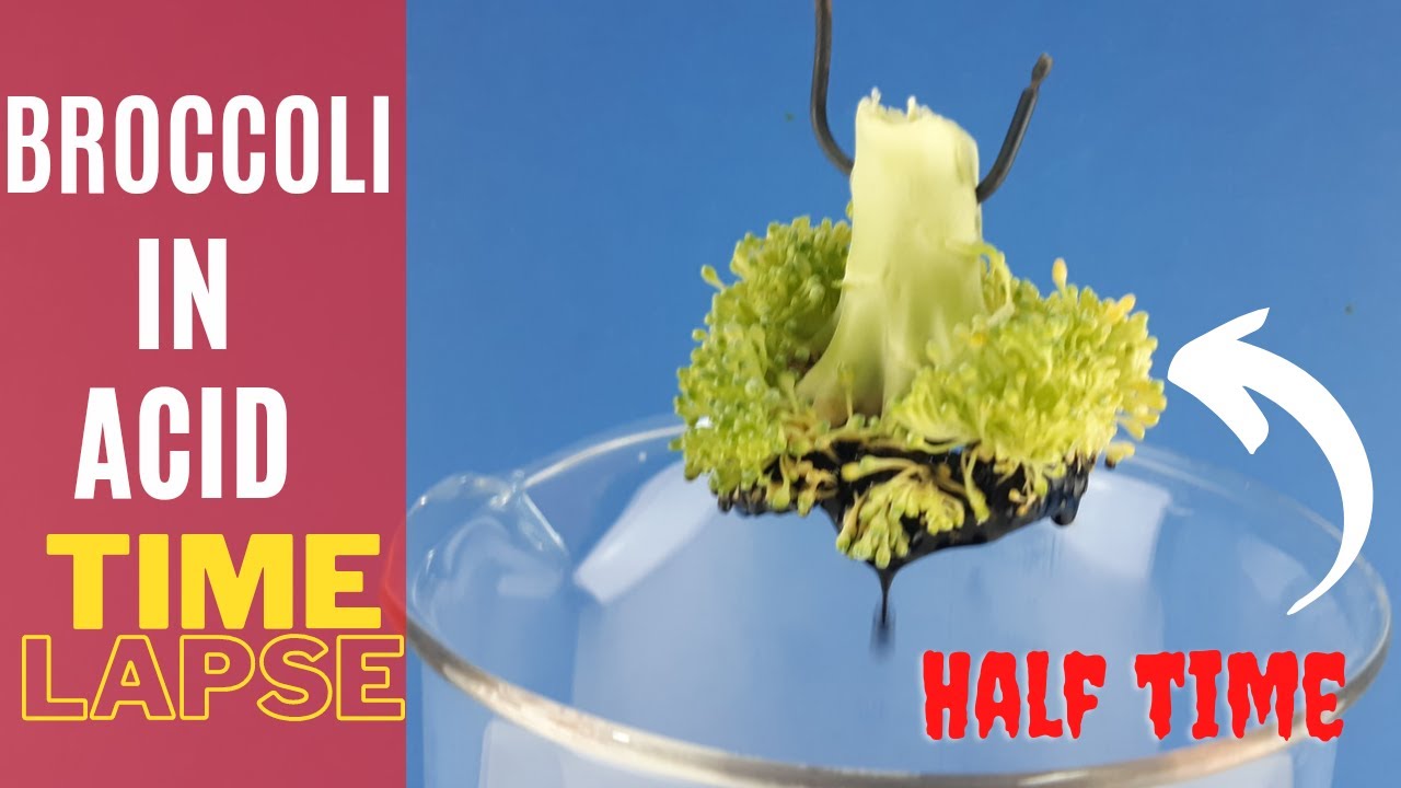 Broccoli in strong ACID - YouTube