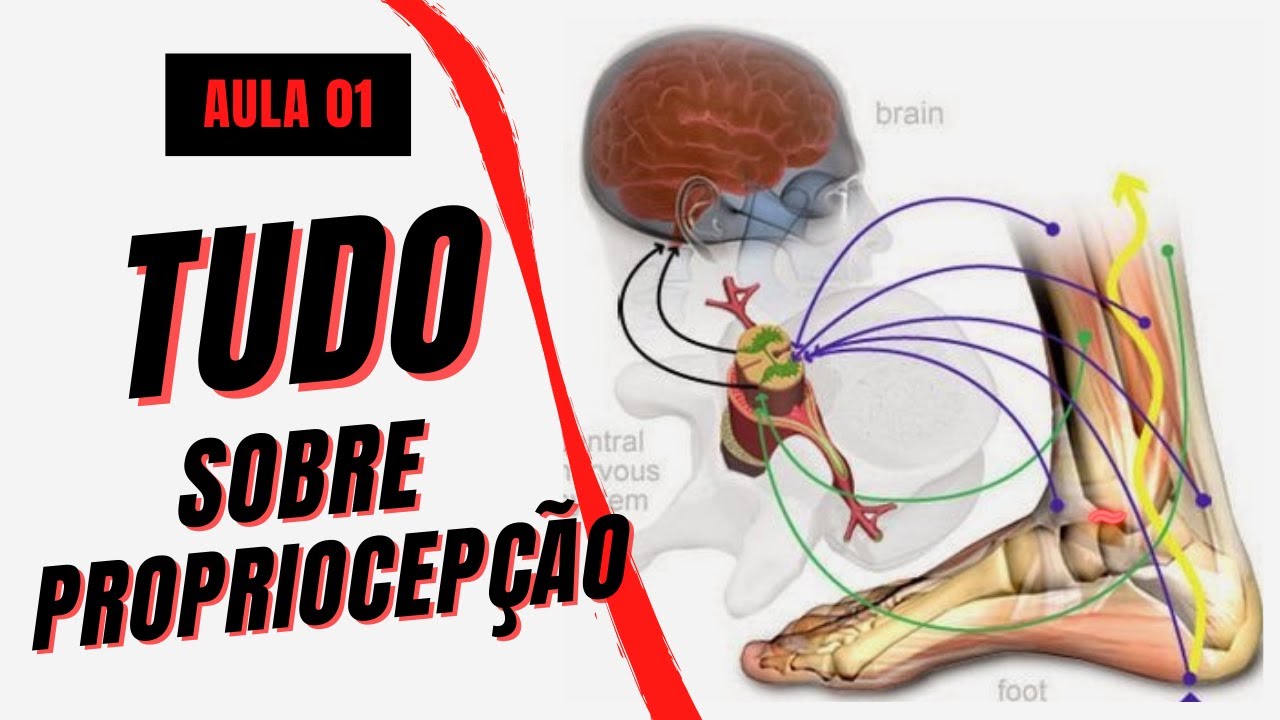 TUDO O QUE VOCÊ PRECISA SABER SOBRE PROPRIOCEPÇÃO - AULA 01 - YouTube