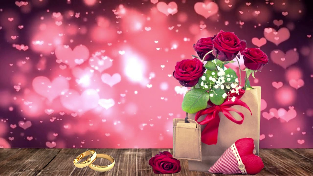 No Copyright Videos | Motion Graphics | Background | Animation | Video ...