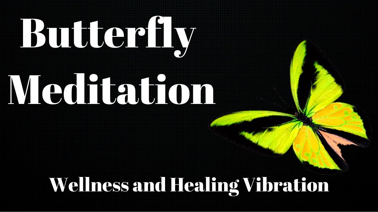 Butterfly Meditation | Wellness and Healing Vibration - YouTube