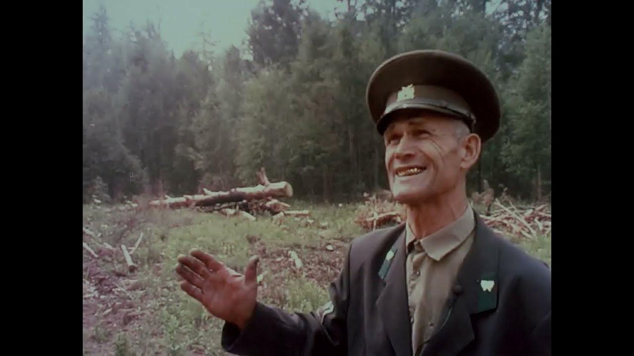 Школа выживания - док фильм - YouTube