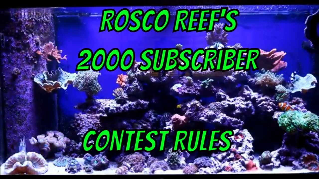Contest Rules Update YouTube contest-rules-update-youtube