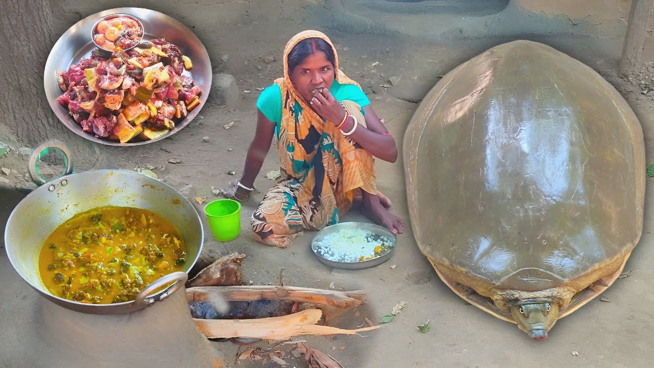 TURTLE CURRY RECIPE || TRADITIONAL TURTLE CURRY COOKING BY VILLAGE mom ...