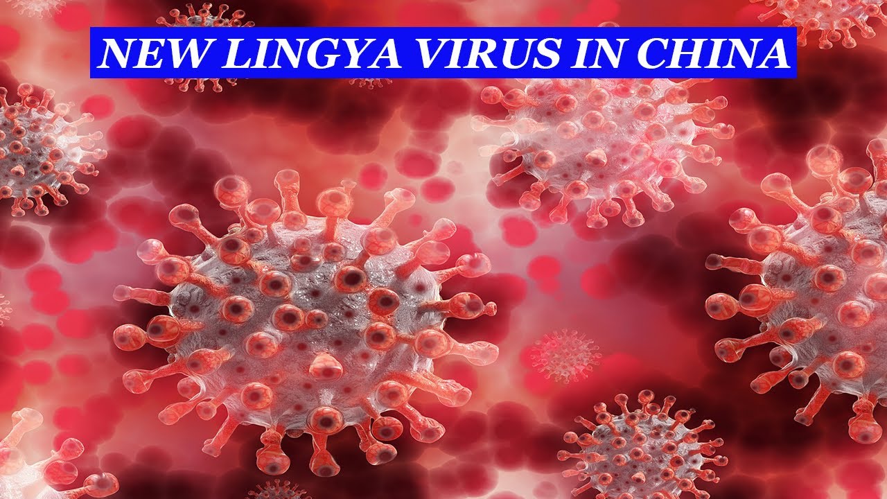 New Langya virus sickens dozens in China. - YouTube