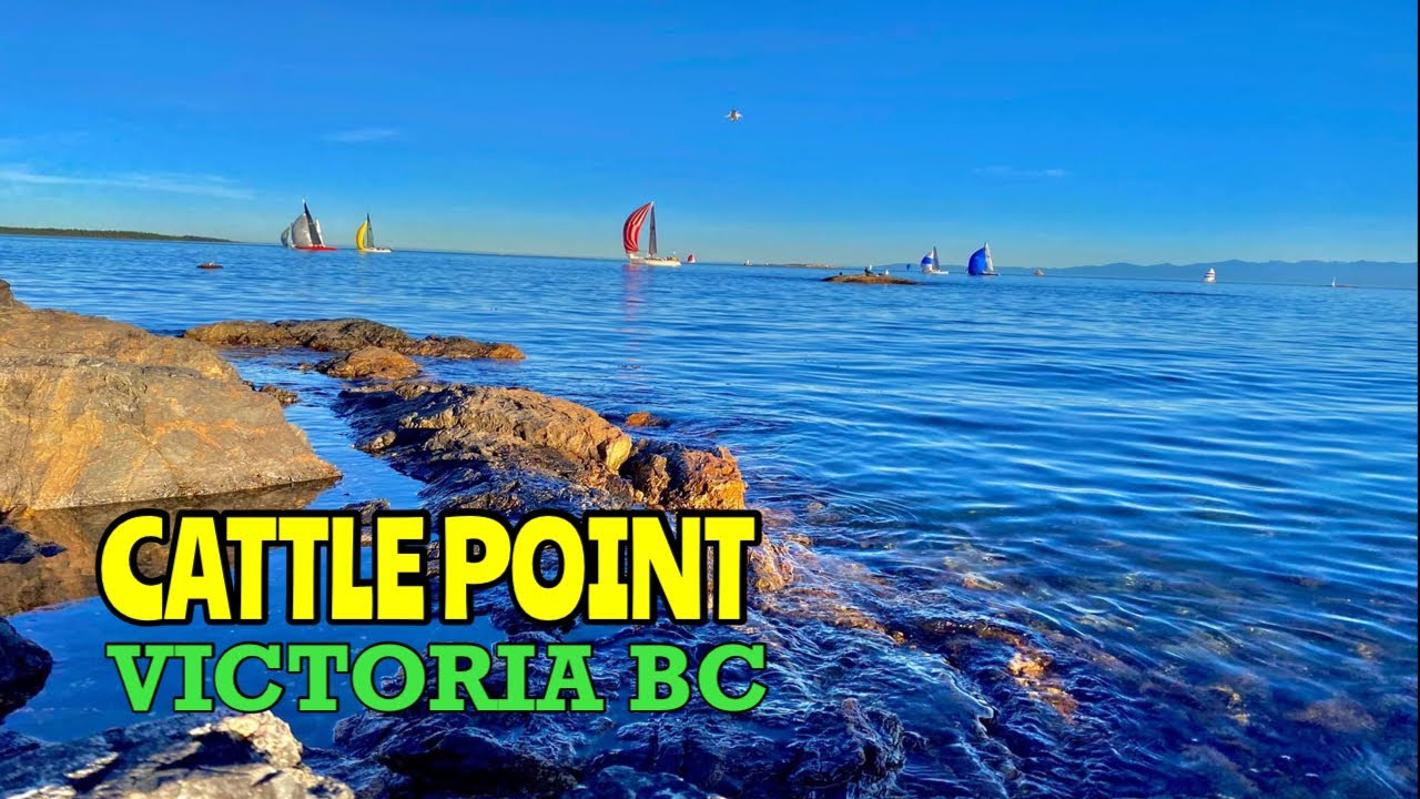 Cattle Point Victoria BC - YouTube