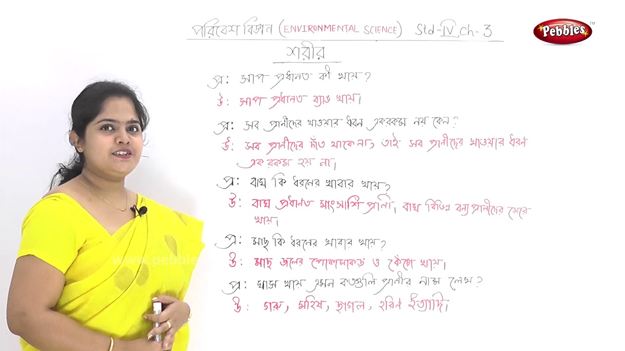 4th Std Environmental Science In Bengali Human Body CH 3 Part 1 EVS Bengali Video YouTube 4th-std-environmental-science-in-bengali-human-body-ch-3-part-1-evs-bengali-video-youtube