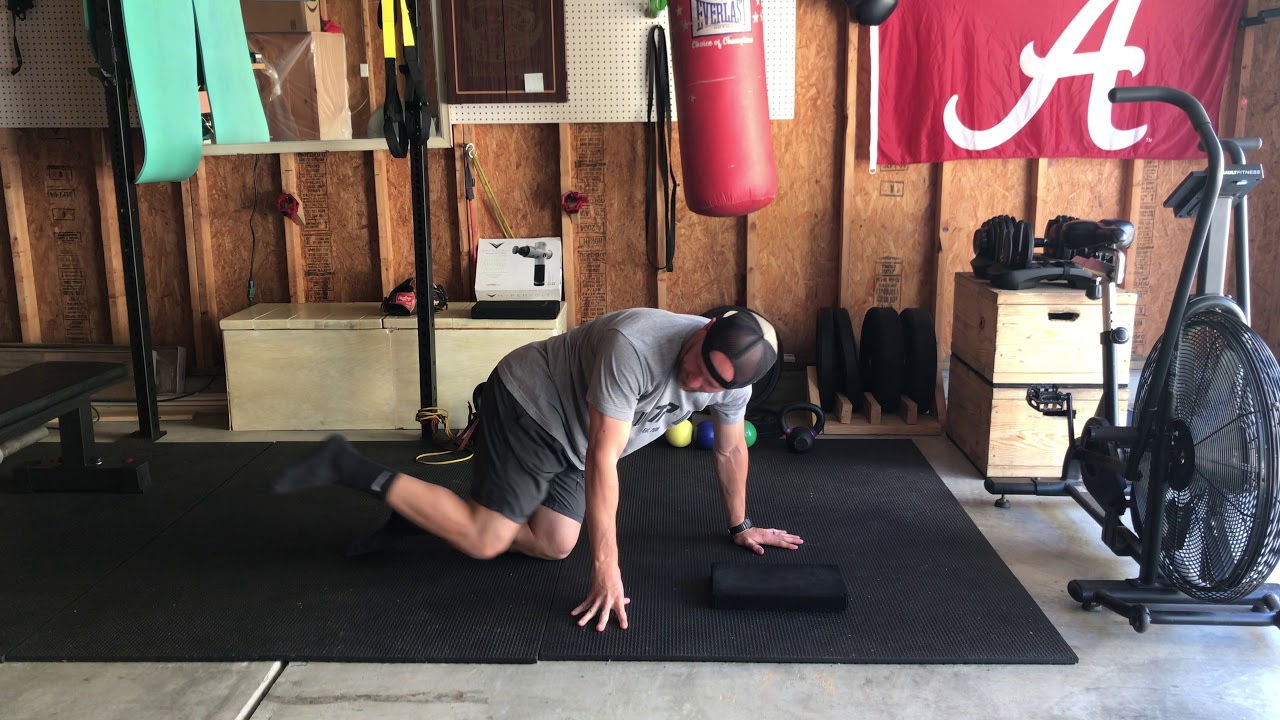 Bird Dog (Push-Up Position) - YouTube