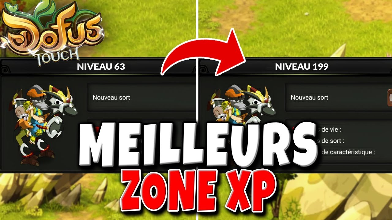 les Meilleures Zone XP Facile pour Tous Dofus Touch (Xp Tout Niveaux ...