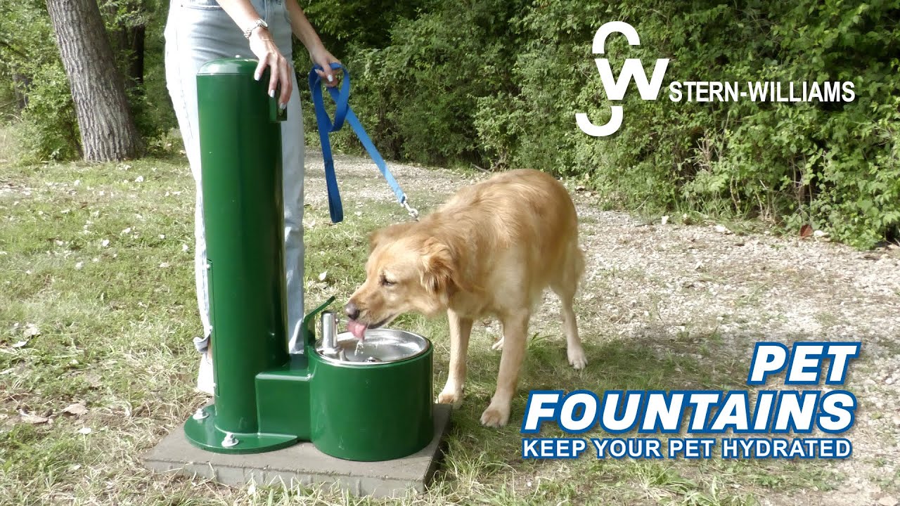 Stern-Williams Pet Fountains 30Sec Commercial - YouTube