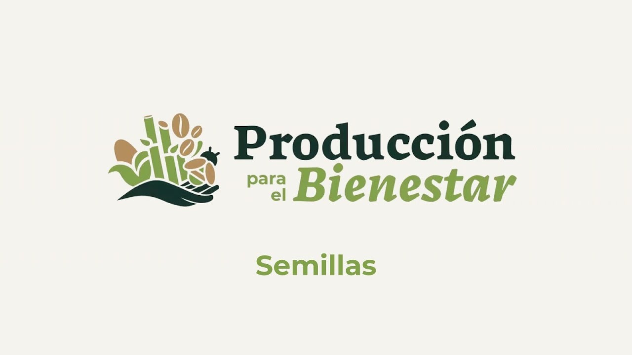 Producción para el Bienestar | Semillas - YouTube