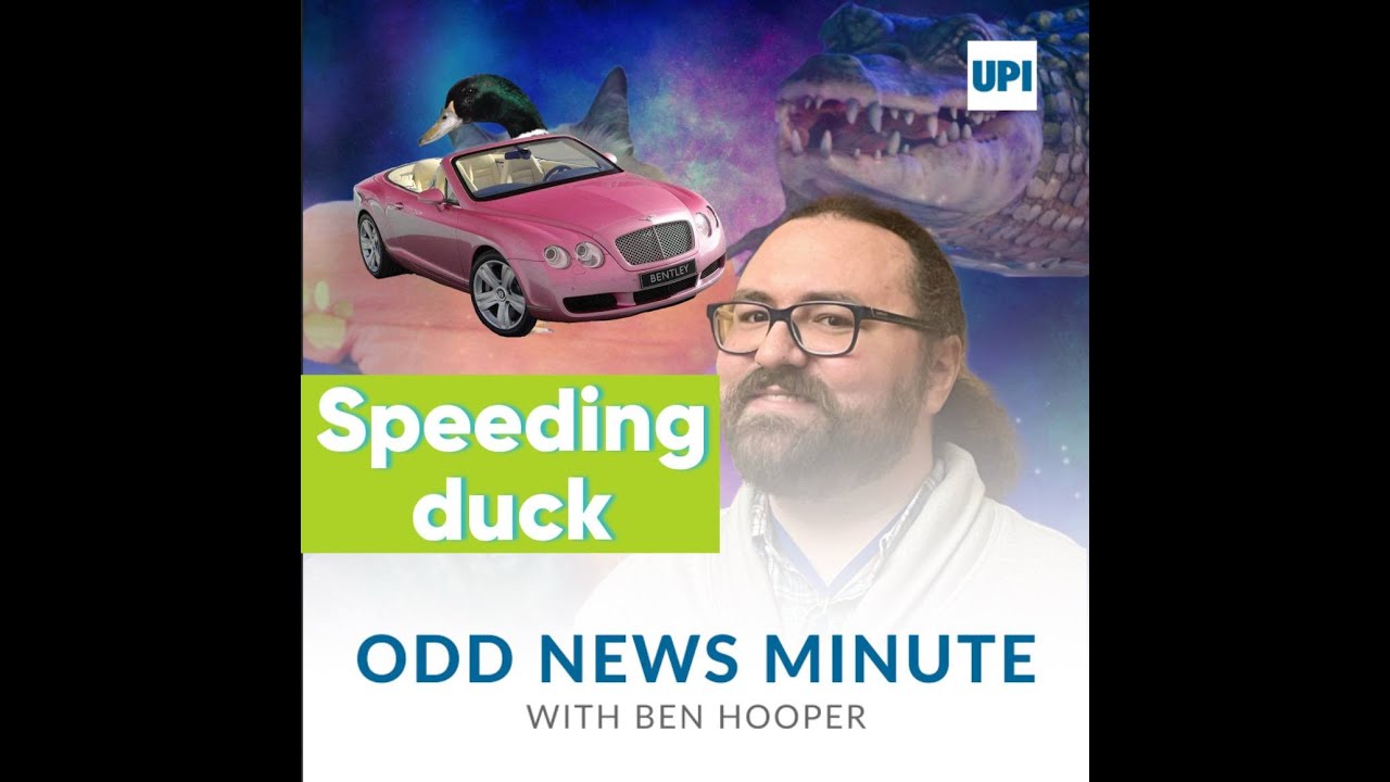 Duck triggers speed camera, robot solves Rubik's cube - YouTube