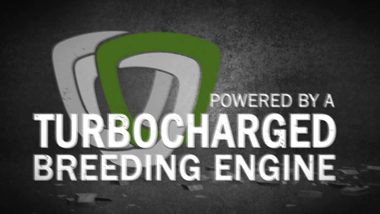 Announcing Pioneer® brand Qrome™ Corn Products - YouTube