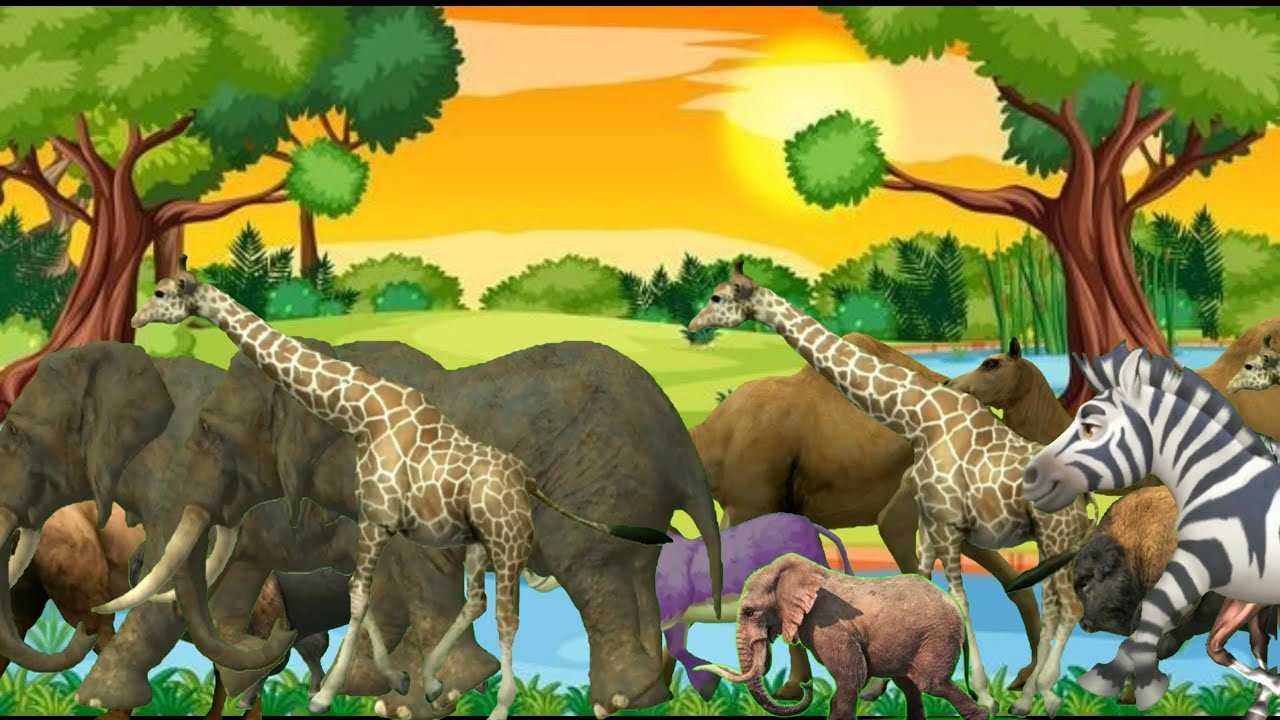 Zoo animals green screen | Animals stampede | Animals green screen ...