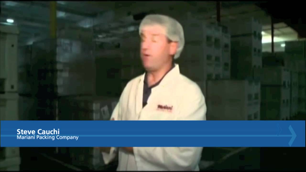 Mariani Packing Company Relies on Macro Plastics Containers in ...