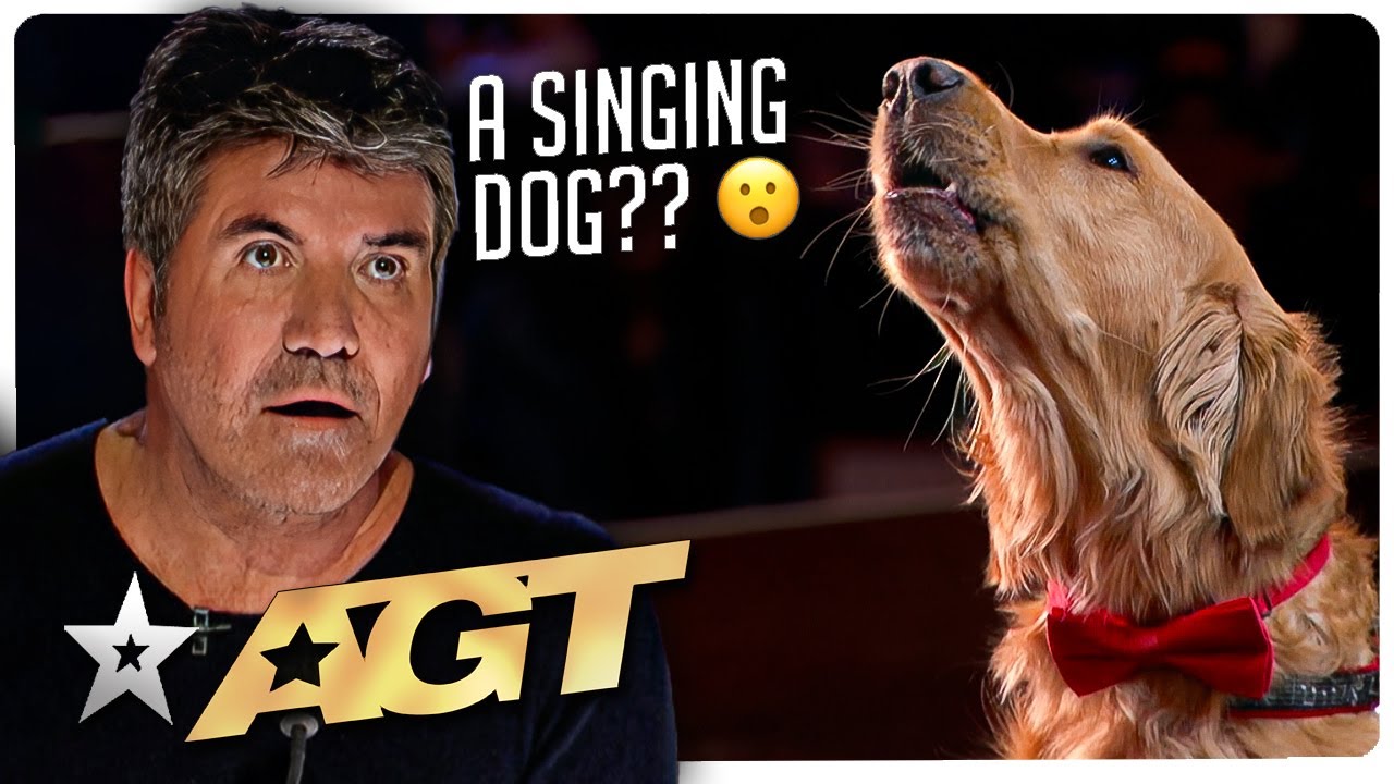Amazing & Adorable Animal Auditions on America's Got Talent! - YouTube