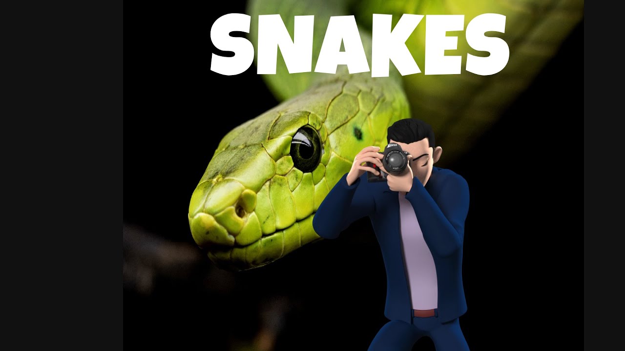 The Slithering Snakes - Story for Kids - YouTube