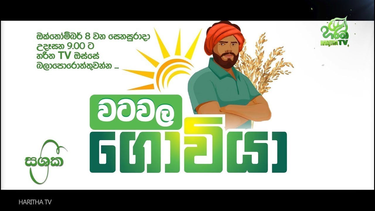 "වටවල ගොවියා" 🧑‍🌾🚜🌾🐄🐔 | සශ්‍රීක | EP - 45 | Haritha TV - YouTube