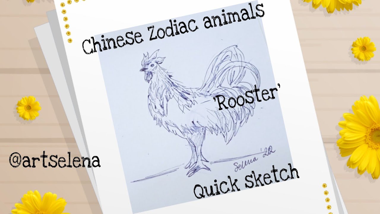 Chinese Zodiac animals - Rooster - quick sketch
